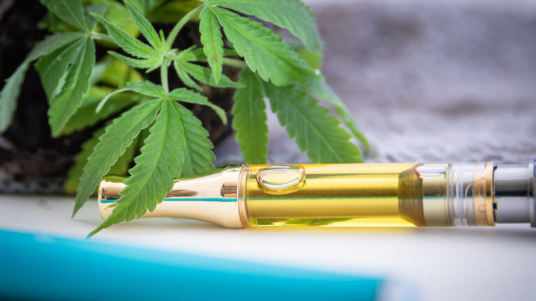 How Does Cannabis Work? - CastleLeaf Cannabis Dispensary